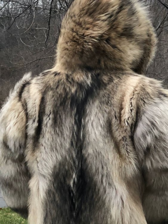 RARE! Canadian Arctic Timber Wolf Fur Parka - Fur Mall - The Fur Den RARE! Canadian Arctic Timber Wolf Fur Parka - Fur Mall - The Fur Den