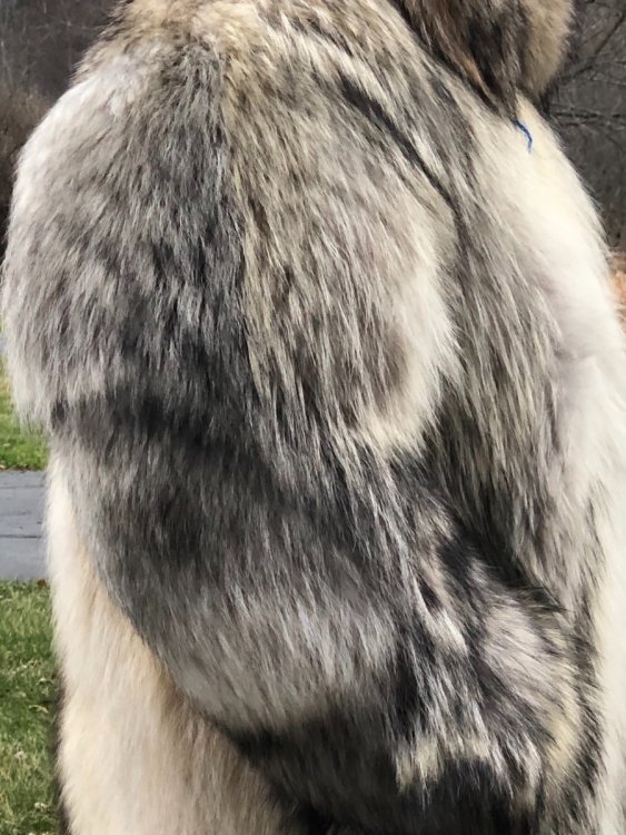 RARE! Canadian Arctic Timber Wolf Fur Parka - Fur Mall - The Fur Den RARE! Canadian Arctic Timber Wolf Fur Parka - Fur Mall - The Fur Den